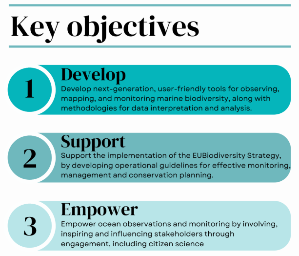 Key Objectives – NEMO-Tools